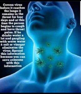 COVID Dentistry – Welcome to Rexon Healthcare, how may I help you?